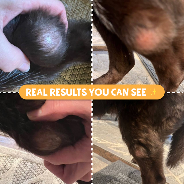 Buddy Guard – Petsmont