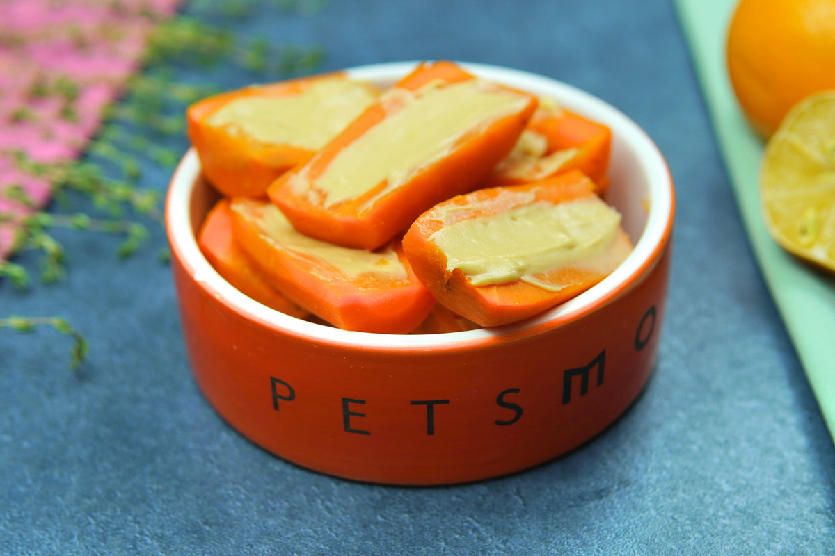 DIY Carrot Boats for Dogs Recipe – Petsmont