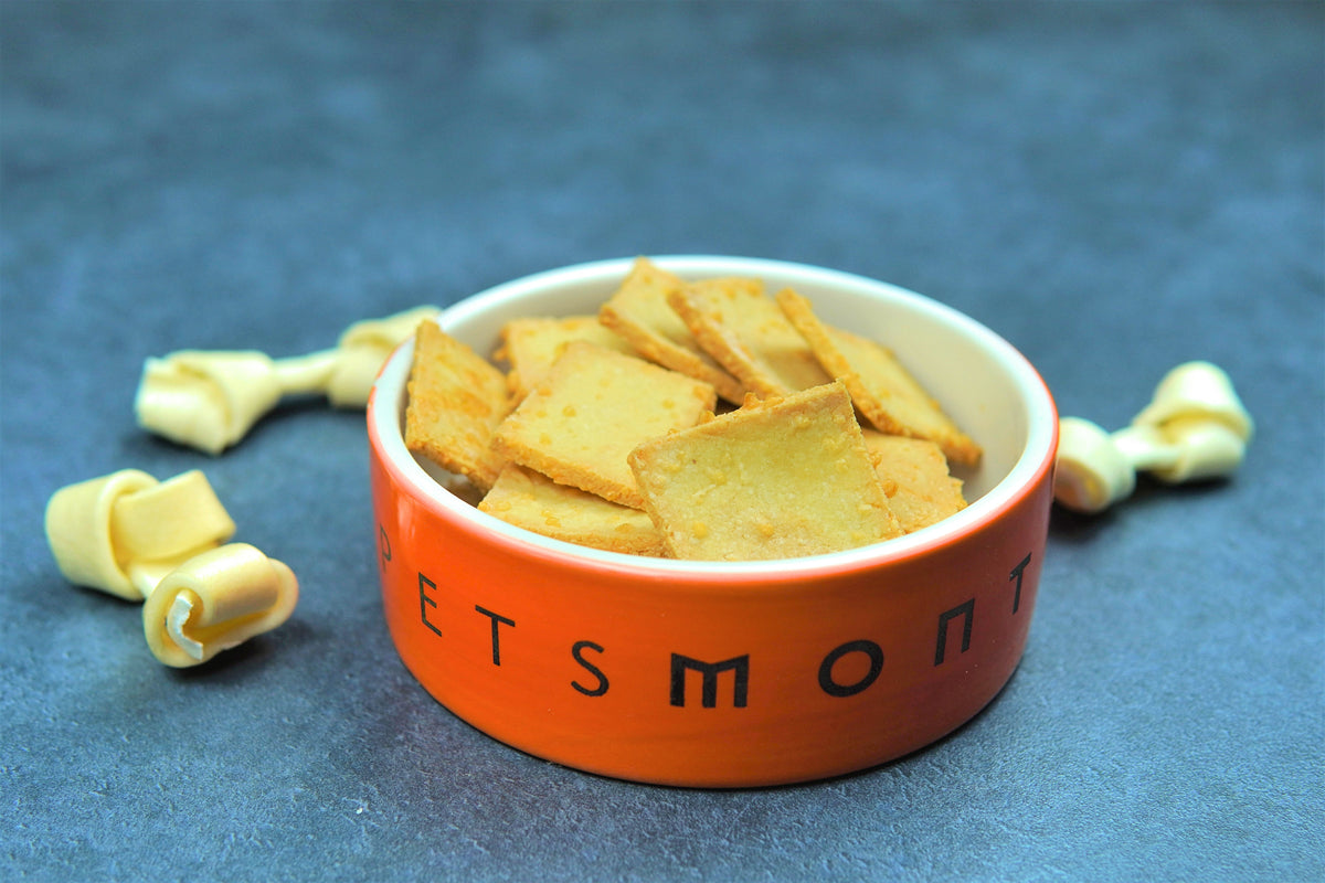 DIY Cheesy Crisps for Dogs Recipe – Petsmont