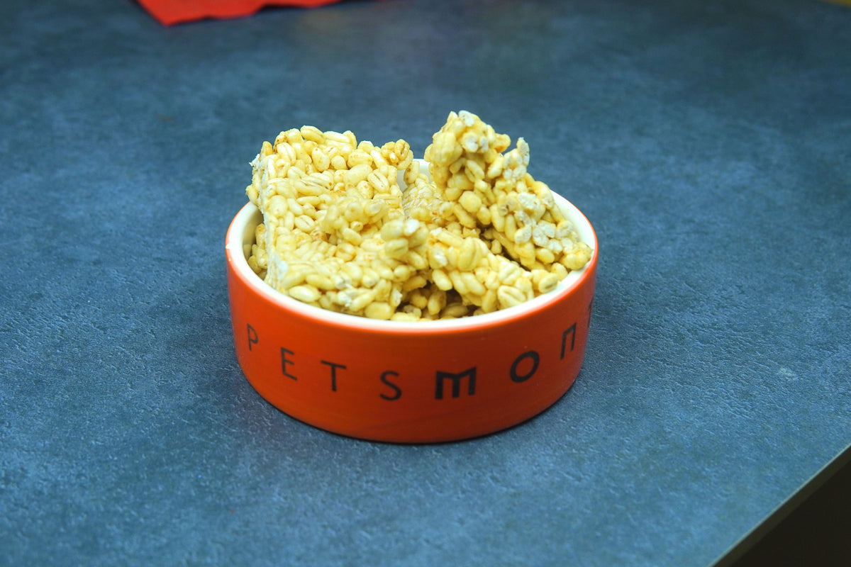 DIY Crispy Bars for Dogs Recipe – Petsmont