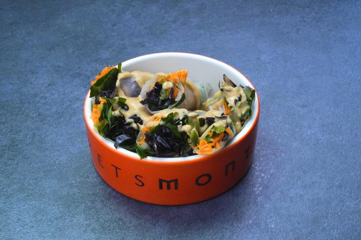 DIY K9 Summer Rolls for Dogs Recipe – Petsmont