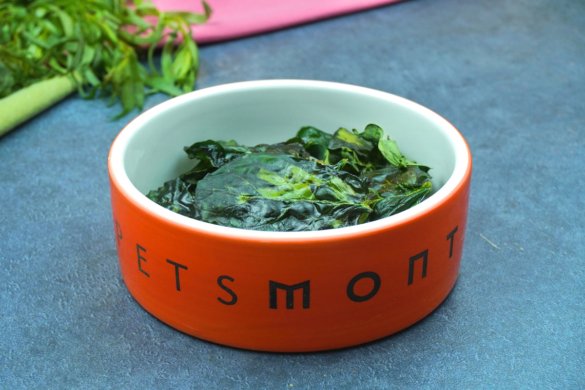 DIY Kitty Chips for Cats Recipe – Petsmont