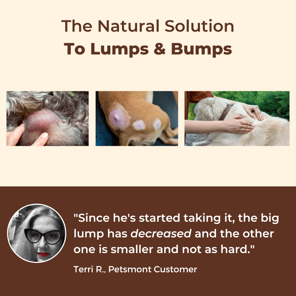 Petsmont Buddy Guard