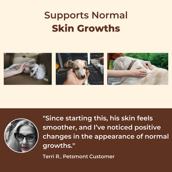 Petsmont Buddy Guard